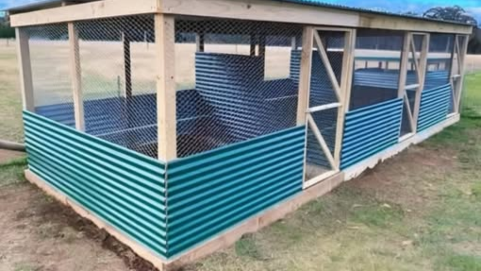 Como Fazer um Galinheiro Funcional e Bonito no Seu Quintal ...